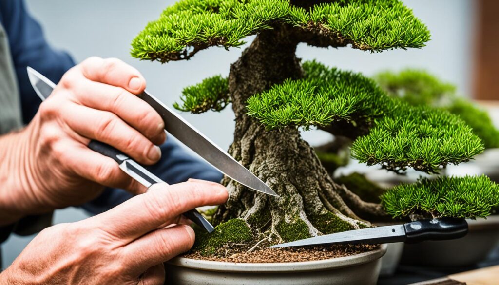 How To Grow Bonsai From Cutting: Beginner's Guide