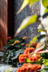 Exterior Wall Covering Ideas for Stylish Homes